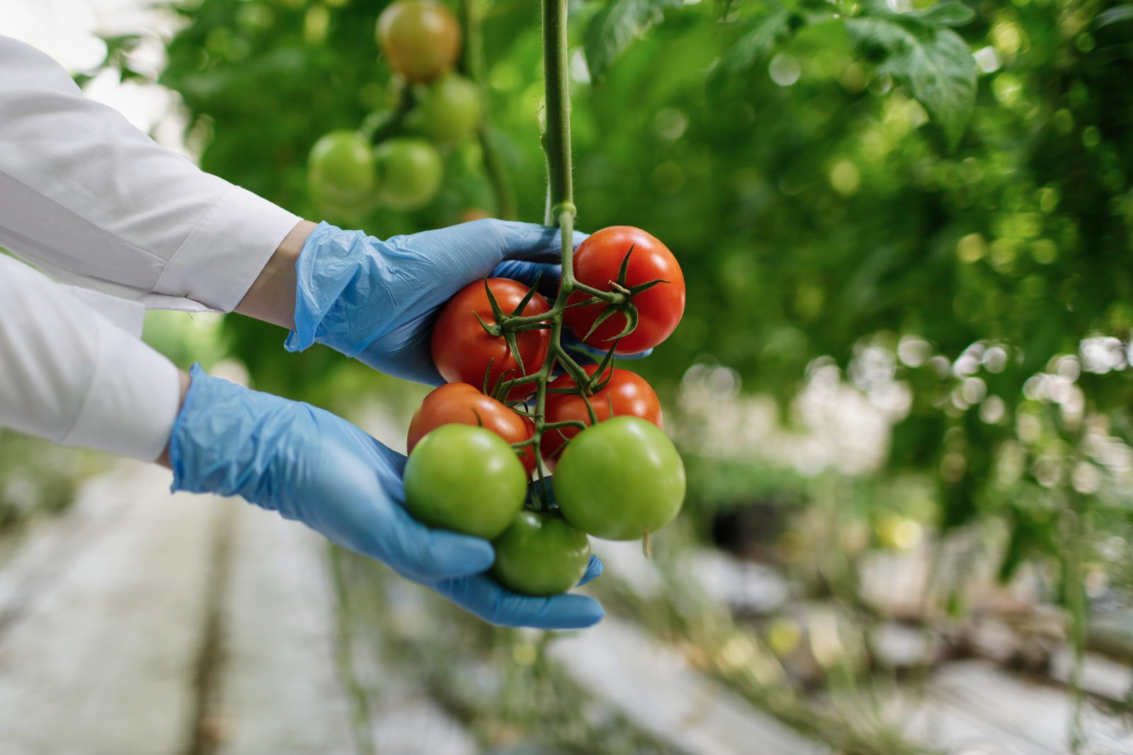 Best Undergrad Nutrition Degree Programs Online Best Undergrad Nutrition Degree Programs Online