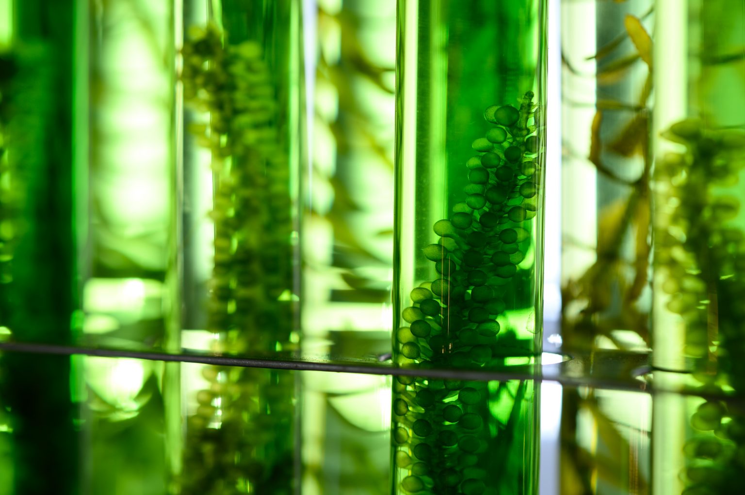 Key Fields in Biotechnology and Emerging Opportunities