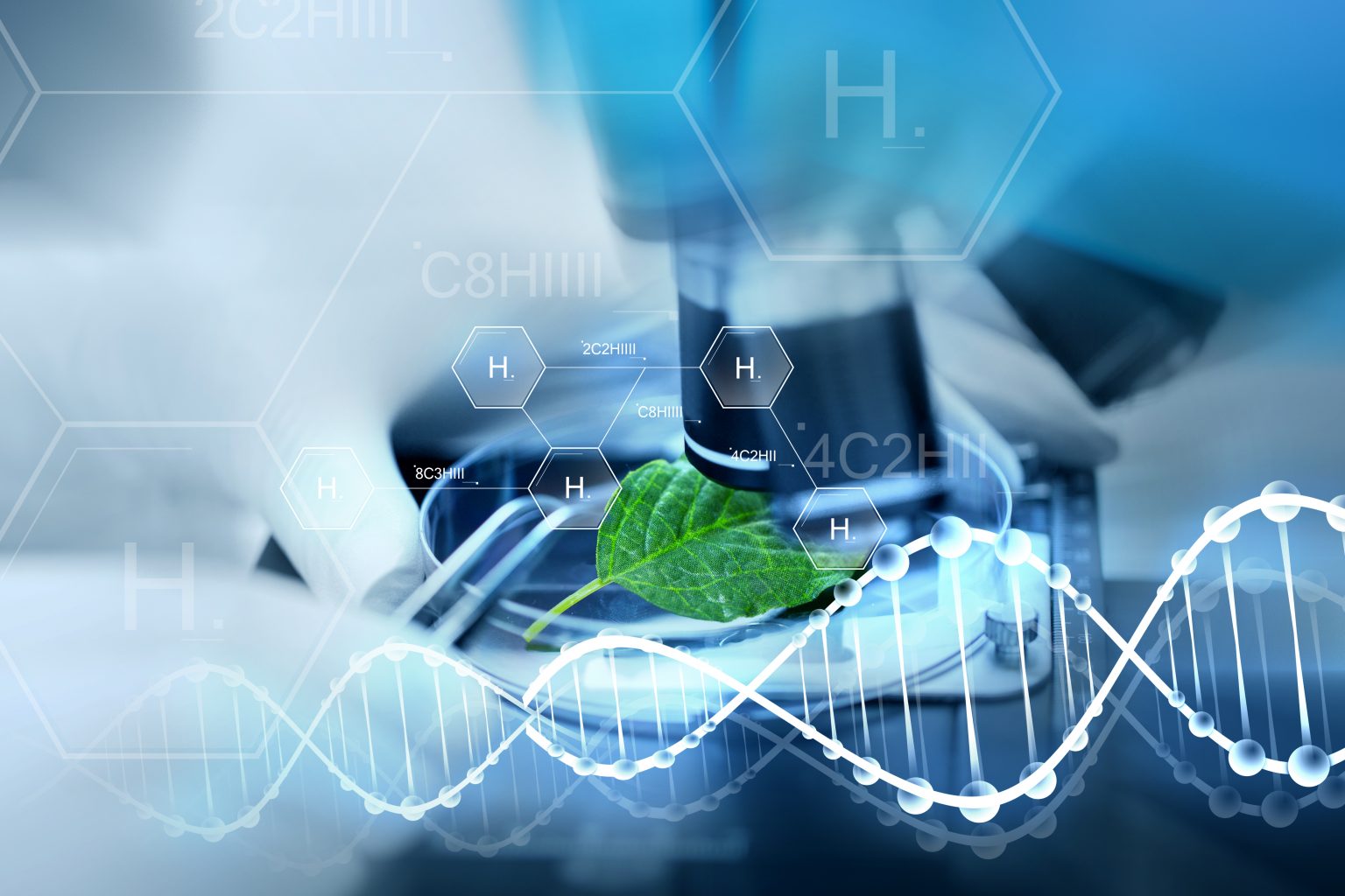 Key Fields in Biotechnology and Emerging Opportunities