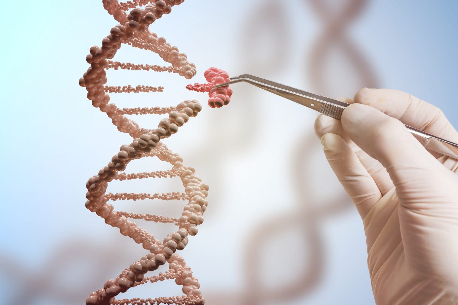 Key Fields in Biotechnology and Emerging Opportunities