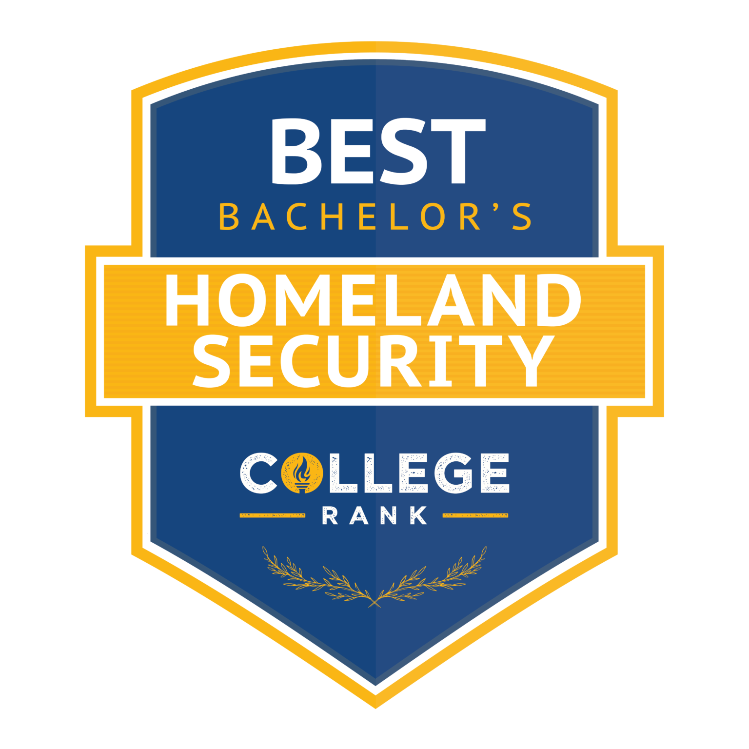 Best Homeland Security Degree Programs